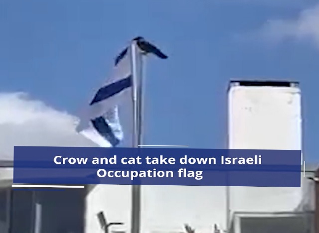Sign? Black Crow takes Down Israeli Flag