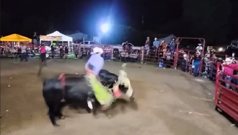 Bull absolutely Massacre Rider in Mexico