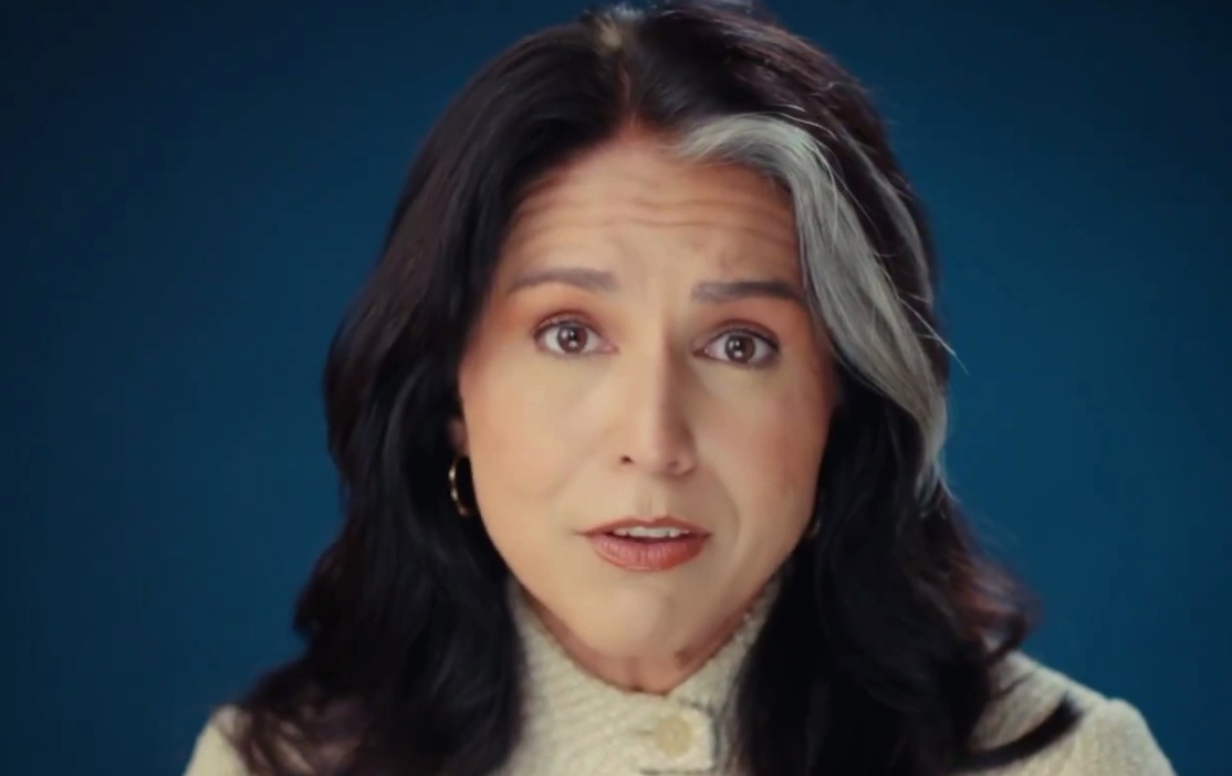 Tulsi Gabbard releases dire video 'We are closer to the brink of nuclear annihilation than ever ...