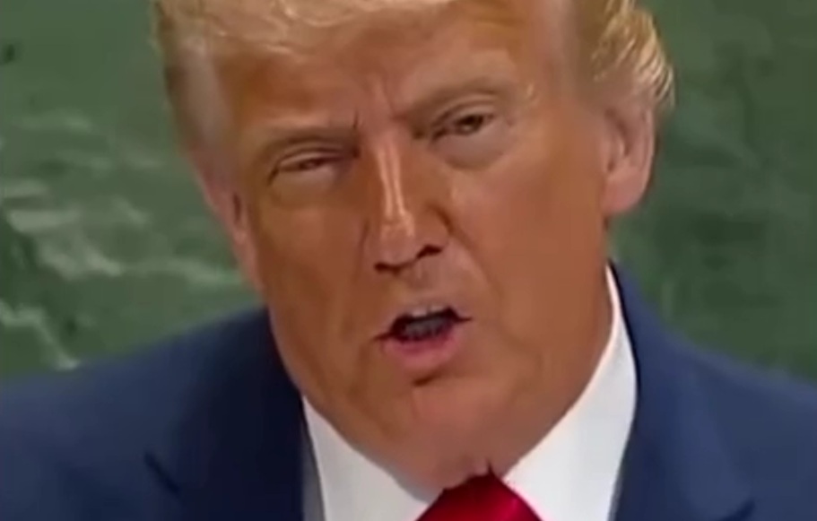 Behold your orange buffoon